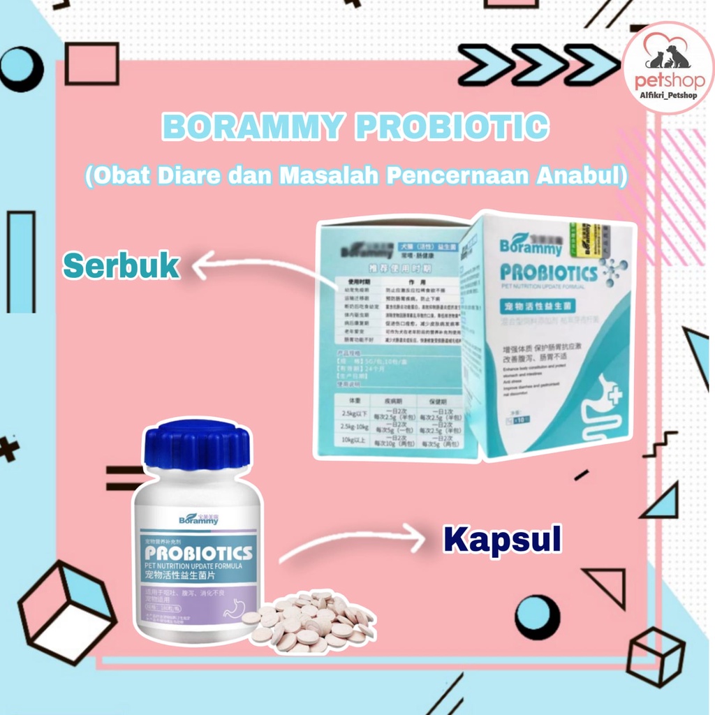 Jual Borammy Probiotic Update Formula | Obat Diare & Pencernaan ...