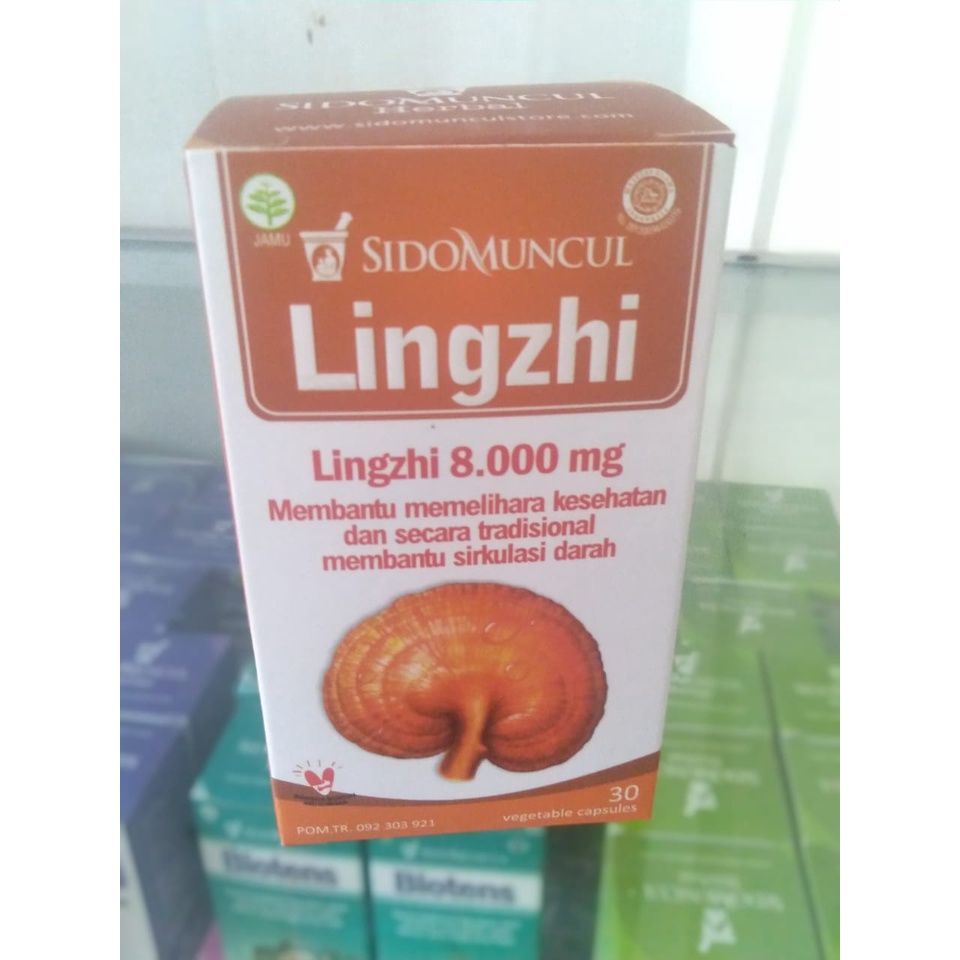 Jual SIDOMUNCUL LINGZHI 30 KAPSUL TUMOR KANKER GULA DARAH KOLESTROL ...
