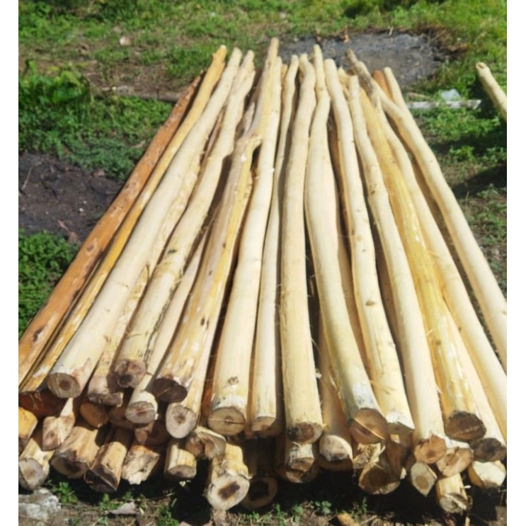 Jual Kayu Dolken Terlengkap & Harga Terbaru April 2026 | Shopee Indonesia