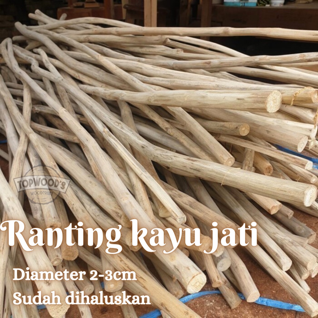 Jual Teak Wood Branch - Ranting kayu jati 40-50cm bahan kerajinan ...