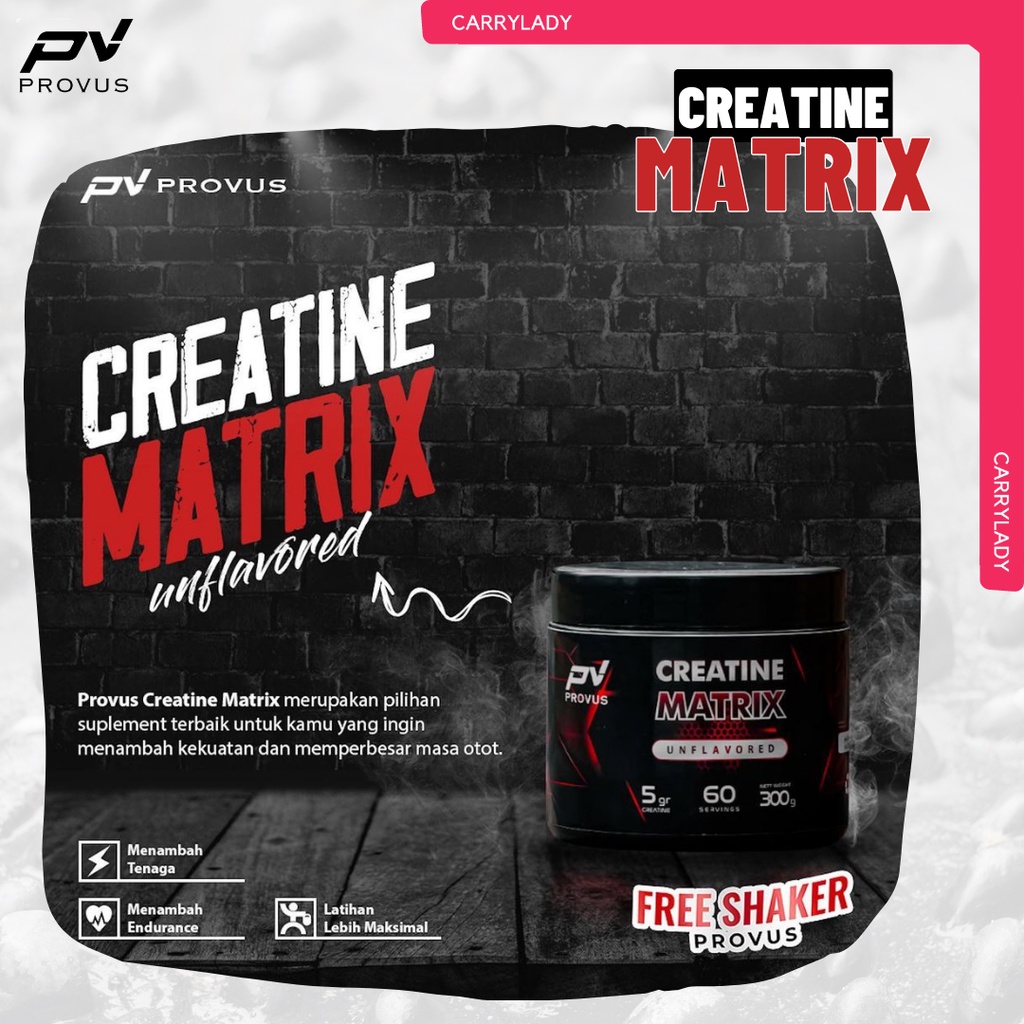 Jual PROVUS CREATINE MATRIX UNFLAVORED 300 GRAM GR 60 SERVING CREATINE ...