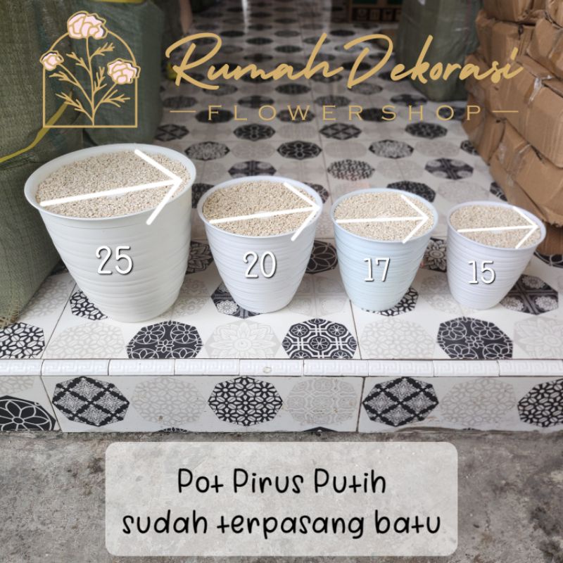 Jual Pot Tirus Pirus Besar 25 cm ( terpasang batu + semen ) | Shopee ...