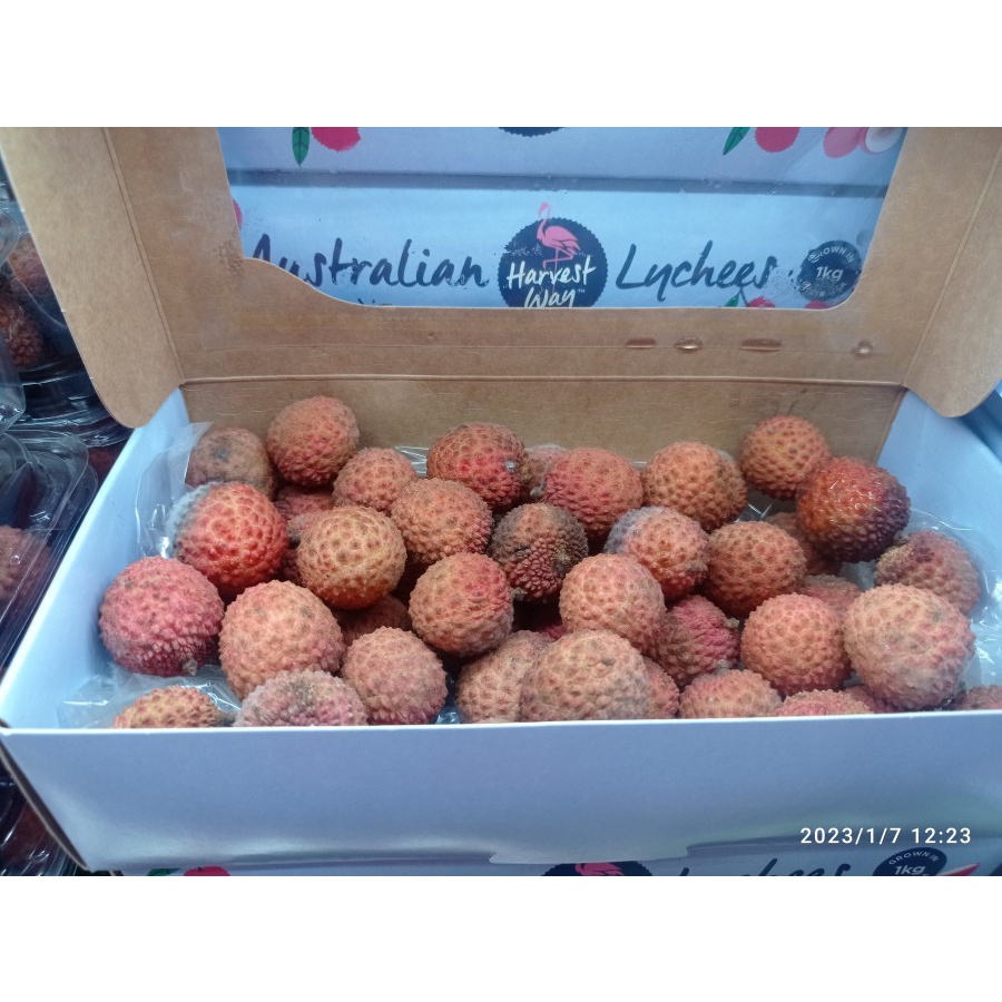 Jual LYCHEE AUSTRALIA HARVEST WAY RASA MANIS PER 1KG | Shopee Indonesia