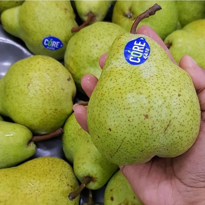 Jual PIR JAMBU (Packham) | Shopee Indonesia