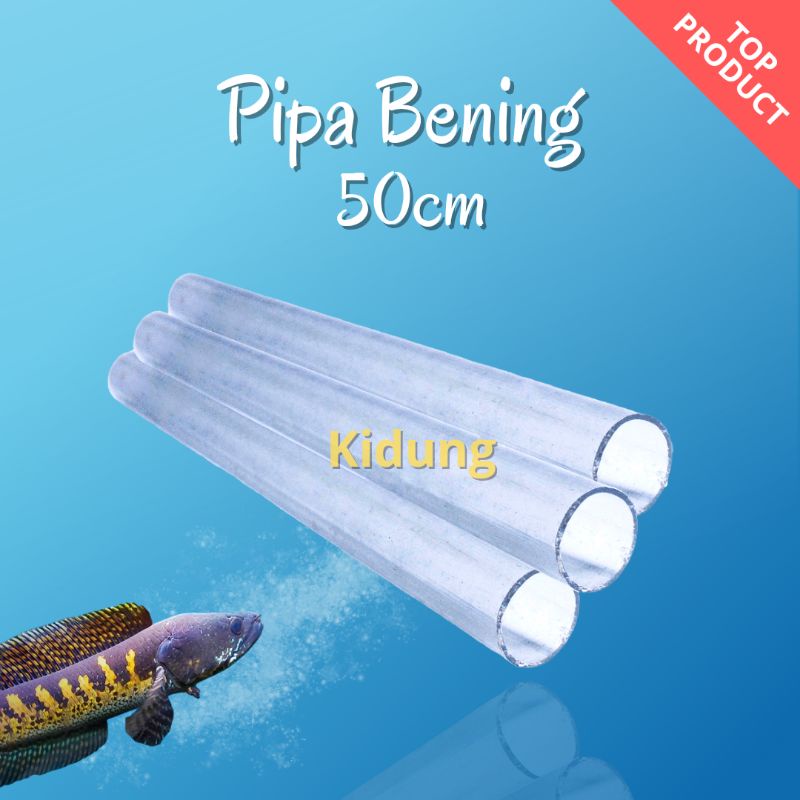Jual Pipa Bening filter aquarium 50cm | Shopee Indonesia
