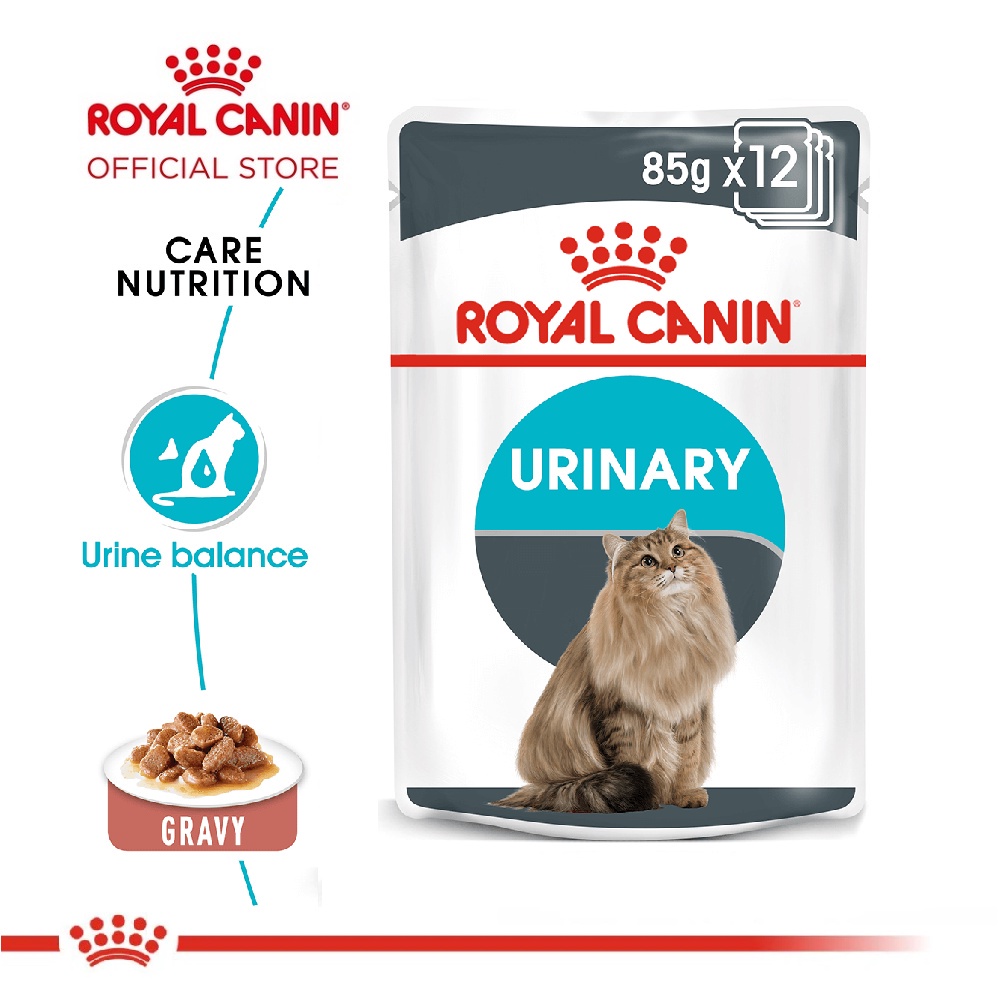 Jual ROYAL CANIN Urinary Care POUCH WET Cat Food 85gr | Shopee Indonesia