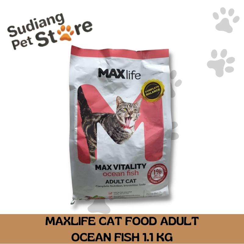 Jual Makanan Kering Kucing Dewasa Maxlife Adult Ocean Fish Cat Dry Food ...