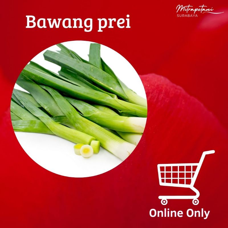 Jual Bawang prei, Daun bawang prei 250 gram, Bawang prei besar segar ...