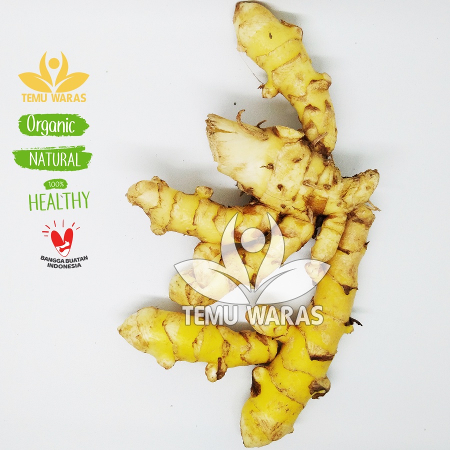 Jual Temu Giring Segar 500gr Organik - Asli Gunung Kidul | Shopee Indonesia