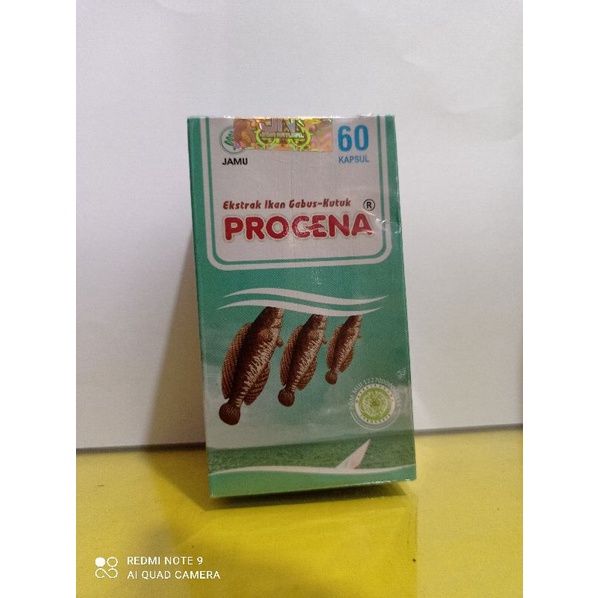 Jual Procena Ekstrak Ikan Gabus-Kutuk isi 60 kapsul | Shopee Indonesia