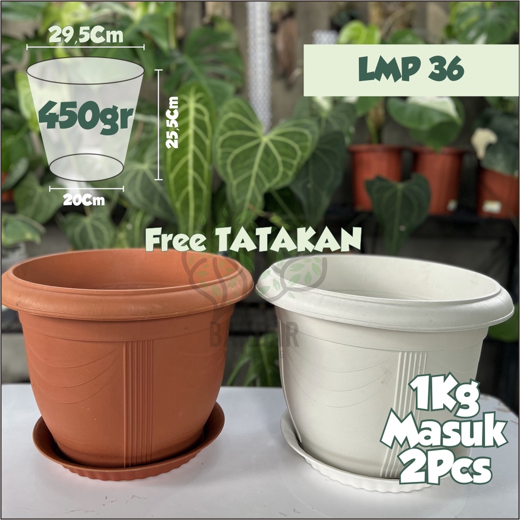 Jual Pot LMP 36 Free Tatakan, pot bunga tanaman hias bagus aesthetic ...
