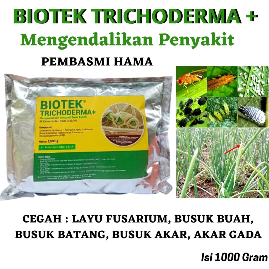 Jual Jamur Tricoderma Harzianum, Pupuk Untuk Jamur Upas Pada Kopi ...