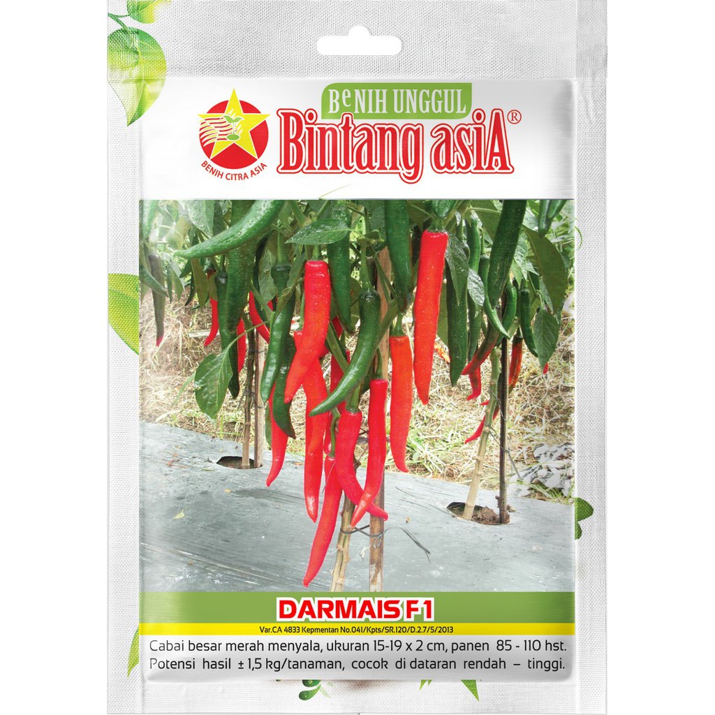 Jual Benih Cabai Cabe Besar DARMAIS F1 1 Gram Cap Bintang Asia PT Benih ...