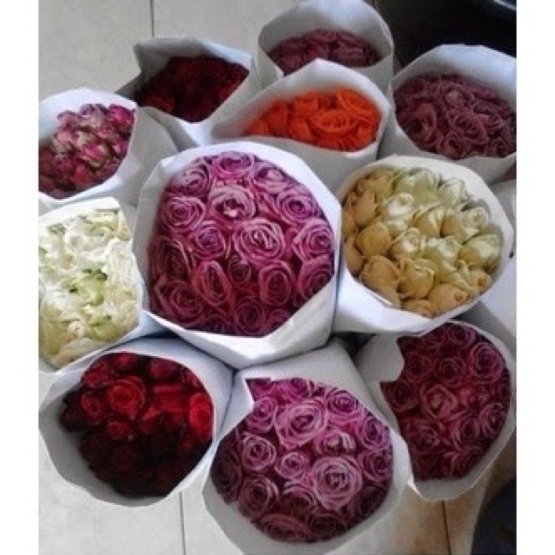 Jual Supplier mawar bali/mawar bali/bunga fresh/mawar fresh/mawar ...