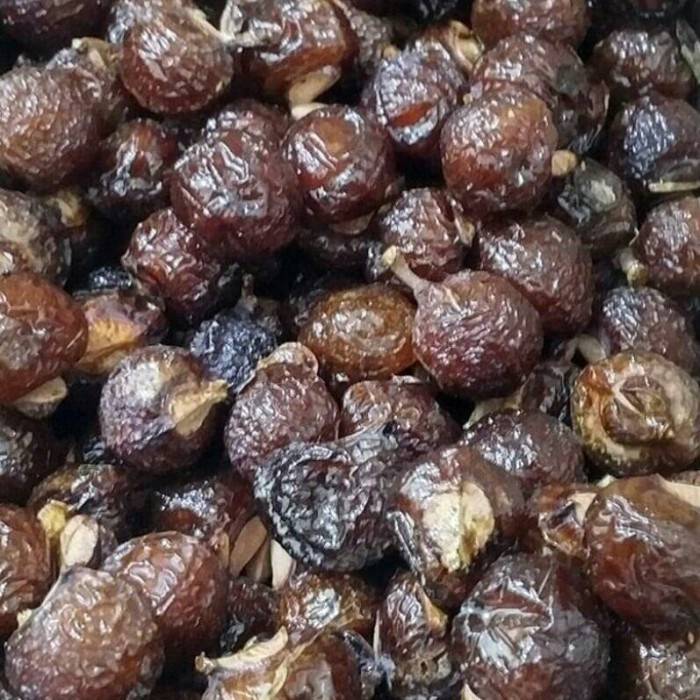 Jual [Ready] Lerak Klerek Soapnut Soapberry 1 Kg | Shopee Indonesia