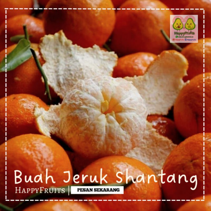 Jual BUAH JERUK SHANTANG MADU HAPPYFRUITS 1KG | Shopee Indonesia