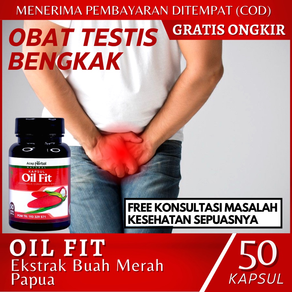 Jual Obat Testis Bengkak Sebelah Besar Nyeri Buah Zakar Turun Kendur ...