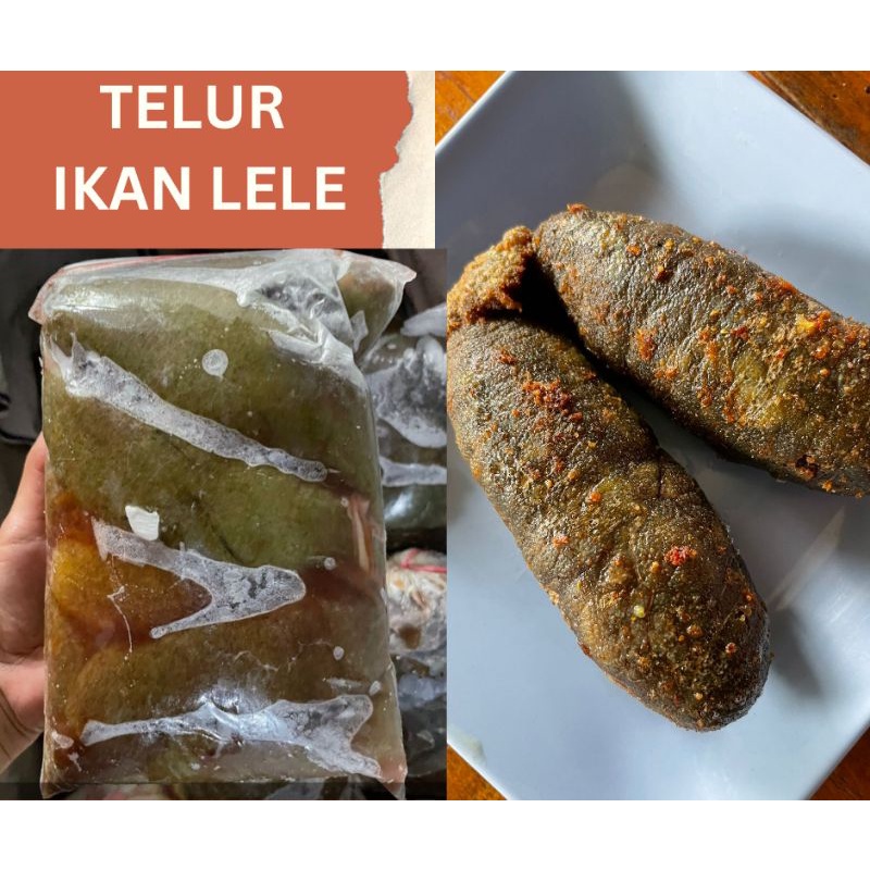 Jual TELUR IKAN LELE 1 KG | Shopee Indonesia