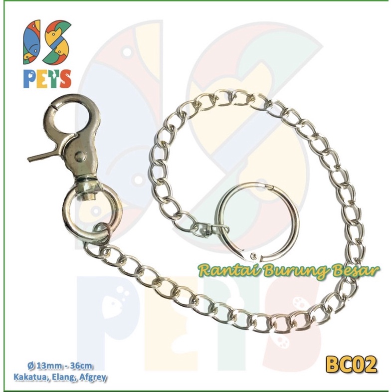 Jual Rantai Burung Kakatua Elang 13mm. Ikat Kaki Ring Besi Training ...