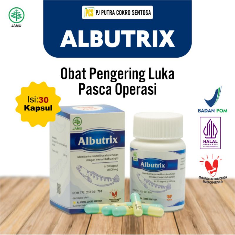 Jual ALBUTRIX obat pengering luka operasi Kapsul Ekstrak Ikan Gabus Ikan Kutuk Albumin-PCS- 30 ...
