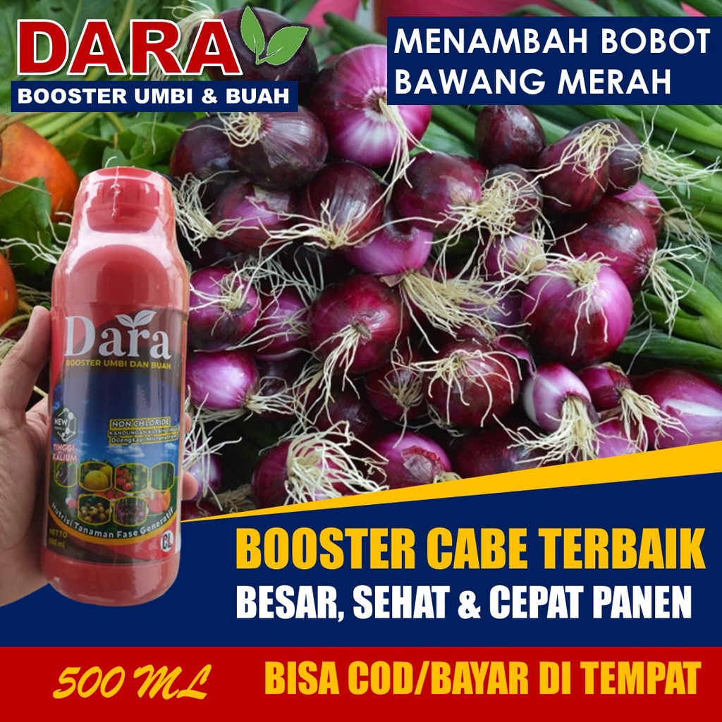 Jual Booster Bawang Merah Terbaik isi 500 ML – Pupuk Organik Cair Semprot Mampu Memperbanyak ...