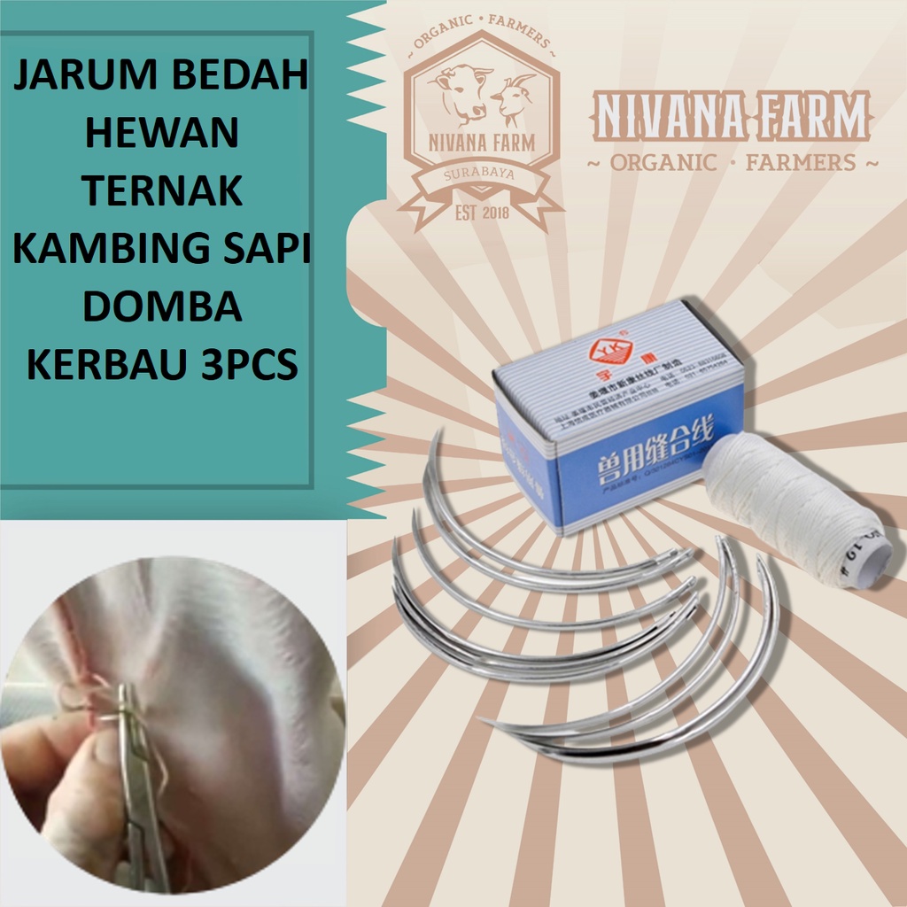 Jual Benang Jarum Kulit Hewan Jarum bedah Hewan Ternak Kambing Sapi ...