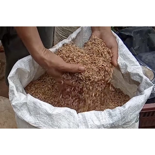 Jual Sekam Padi Original 20 Kg | Shopee Indonesia