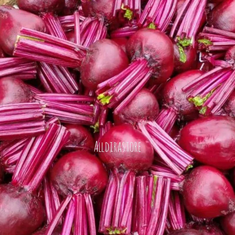 Jual Buah Bit Terlengkap & Harga Terbaru April 2026 | Shopee Indonesia