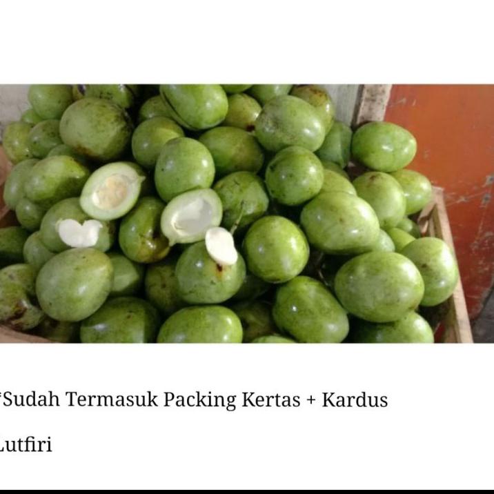 Jual PJI397 Mangga Telor atau Telur Muda Mentah 1 kg belah biji asem ...