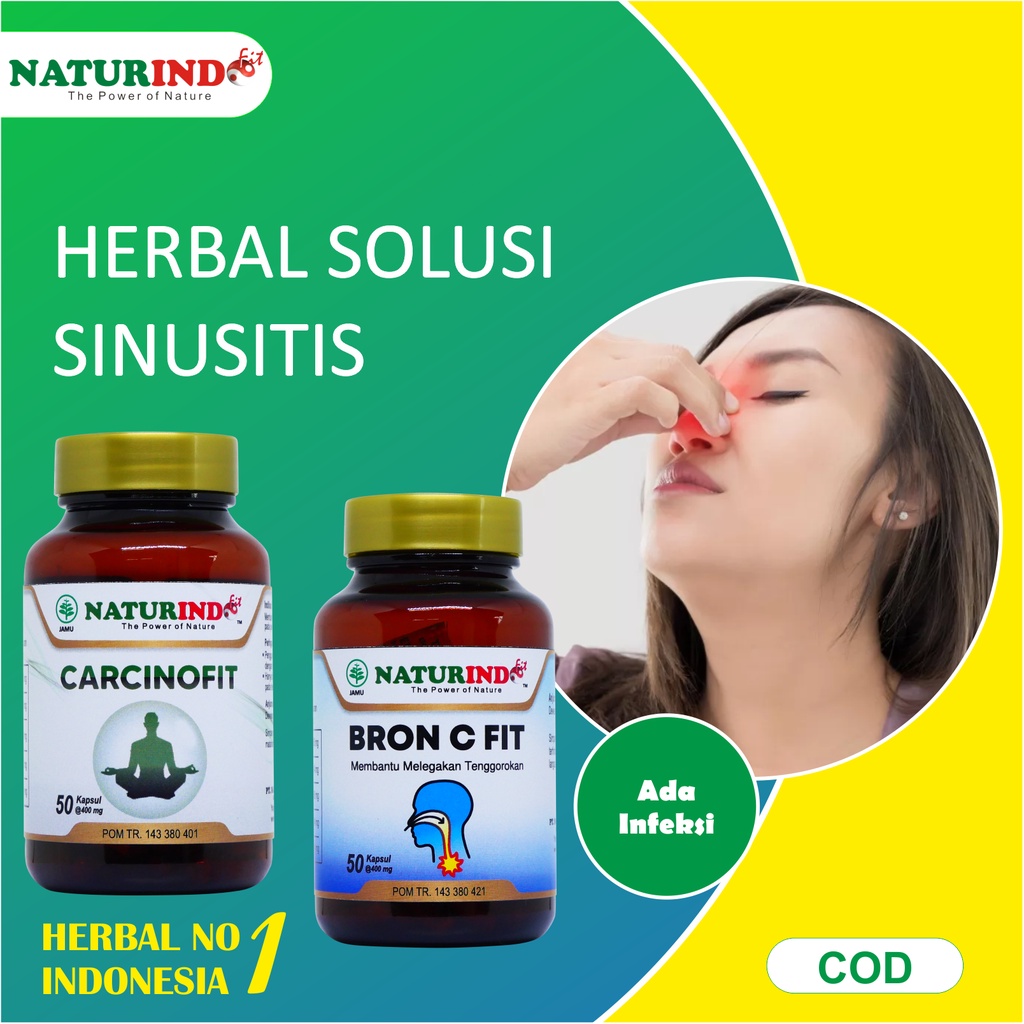 Jual Obat Herbal Sinusitis Sinus Rhinitis Hidung Mampet Tersumbat Pilek ...