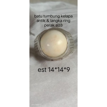 Jual batu kentos kelapa/tumbung keLapa asli | Shopee Indonesia