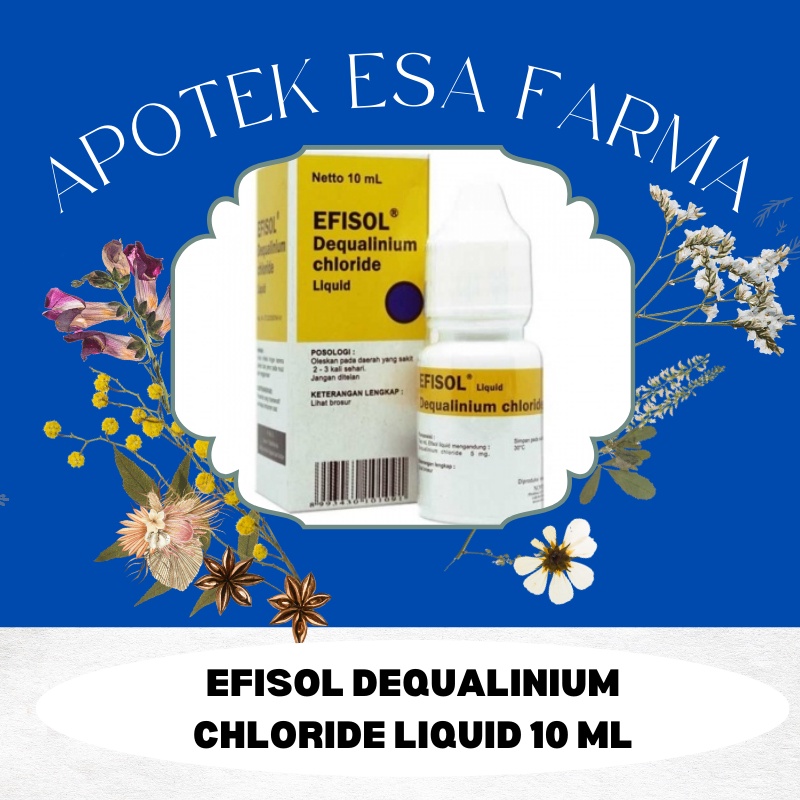Jual Efisol Liquid 10 ml / Sariawan / Bibir Pecah-pecah / Bau Mulut ...