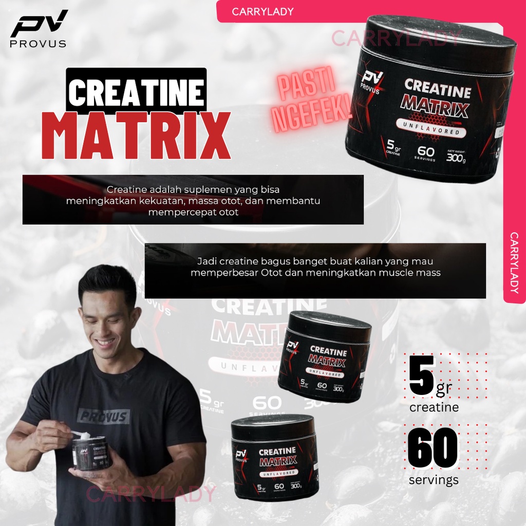 Jual PROVUS CREATINE MATRIX UNFLAVORED 300 GRAM GR 60 SERVING CREATINE ...