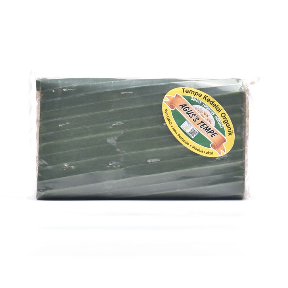 Jual Tempe Kedelai Kuning Non GMO 300 g | Shopee Indonesia