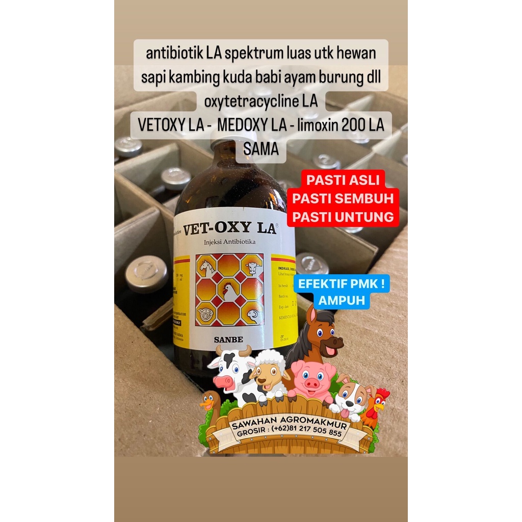 Jual medoxy La medoksi vetoxy LA vetoksi la antibiotik hewan antibiotik ...