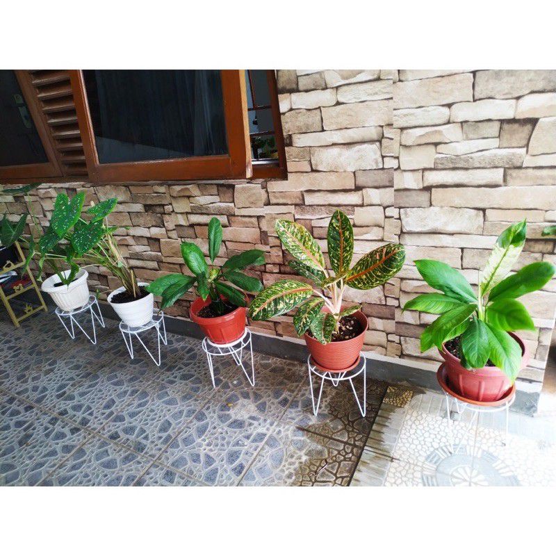 Jual STANDING POT BUNGA/STANDING BESI MURAH/STANDING T25CM | Shopee ...
