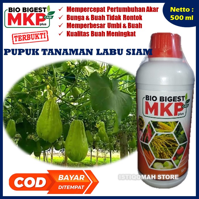 Jual Pupuk Buah Labu Siam BIO BIGEST 500ML MKP Cair Plus Obat Semprot Anti Rontok Bunga dan Buah ...
