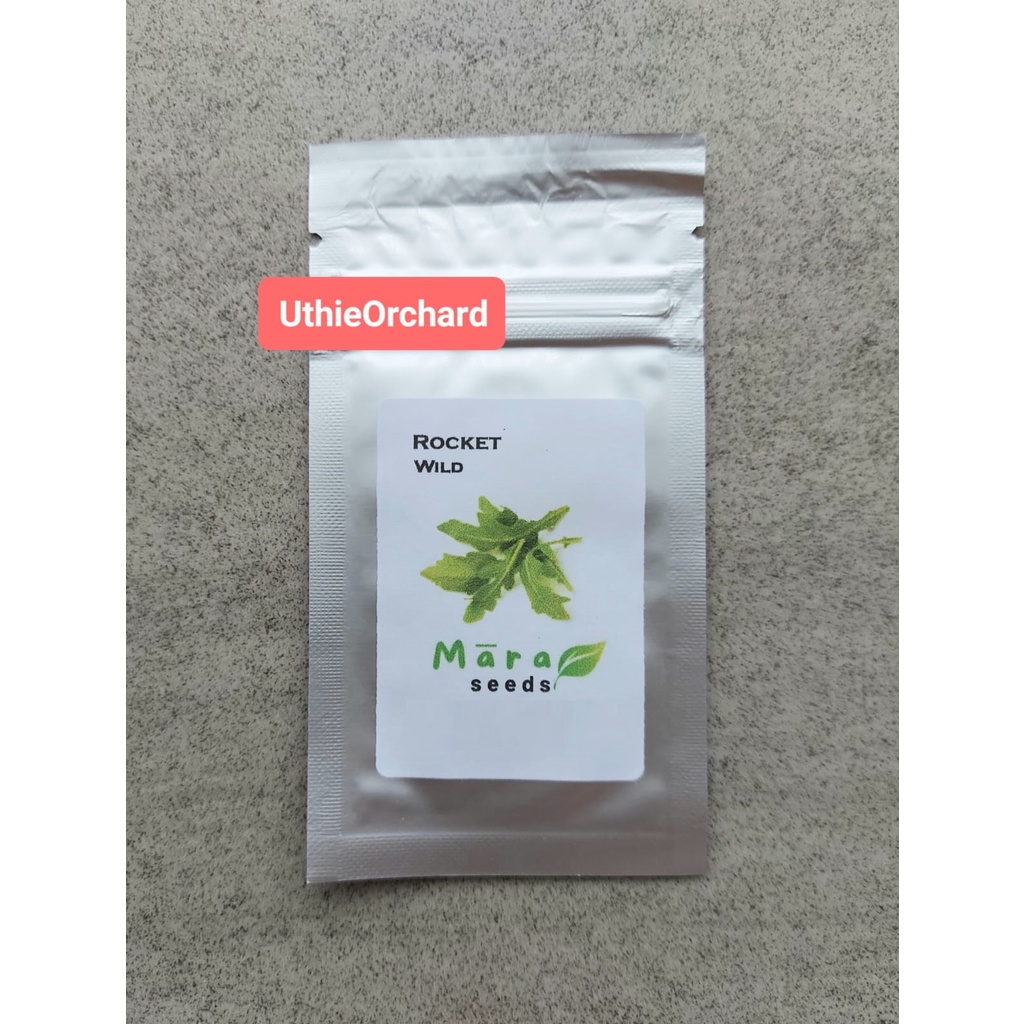 Jual Mara Seeds - Rocket (Arugula) Wild (500 seeds) | Shopee Indonesia