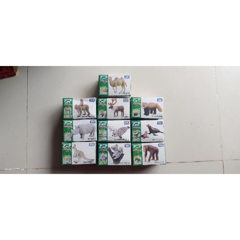 Jual ania animal takara tomy collettion | Shopee Indonesia