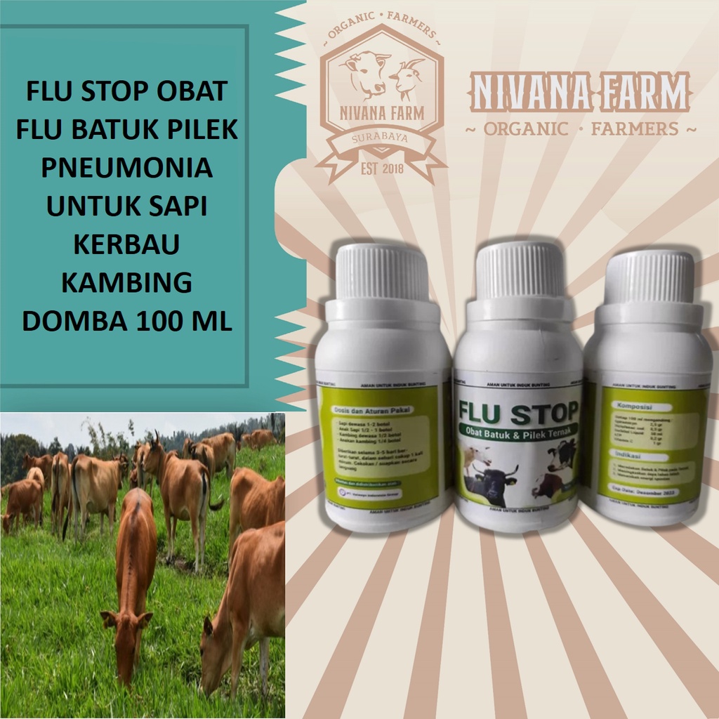 Jual FLU STOP Obat Flu Batuk Pilek Pneumonia Untuk Sapi Kerbau Kambing ...
