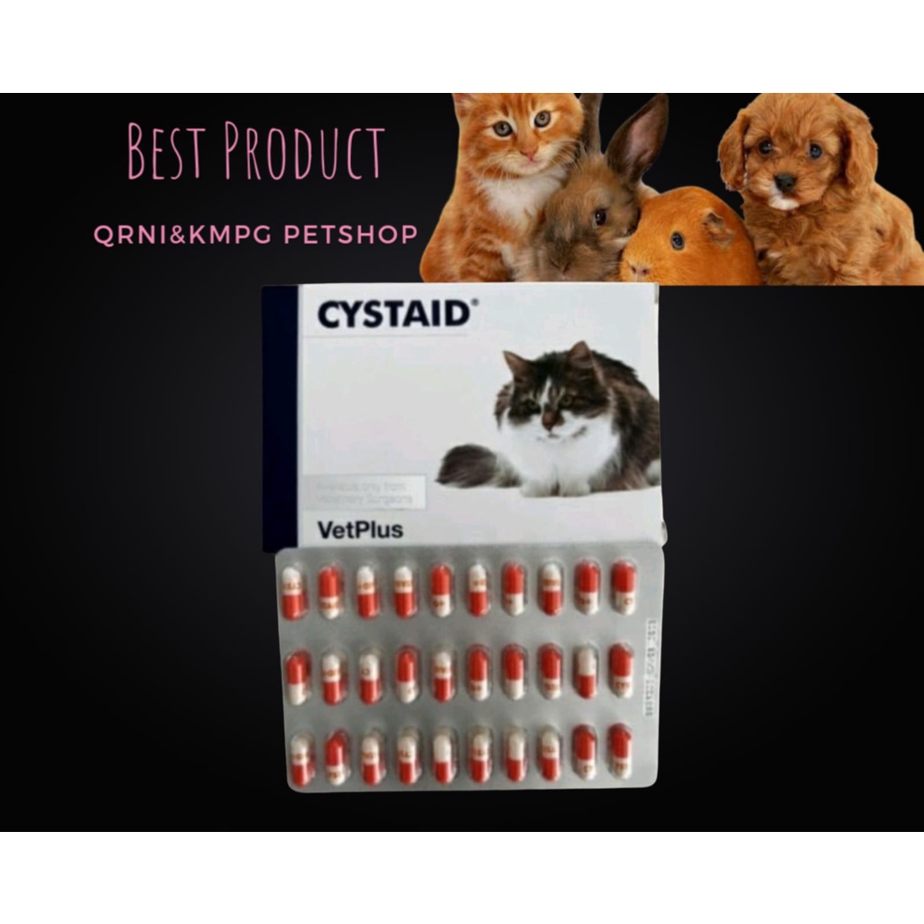 Jual cystaid cat plus for urinary tract per capsule obat masalah ...