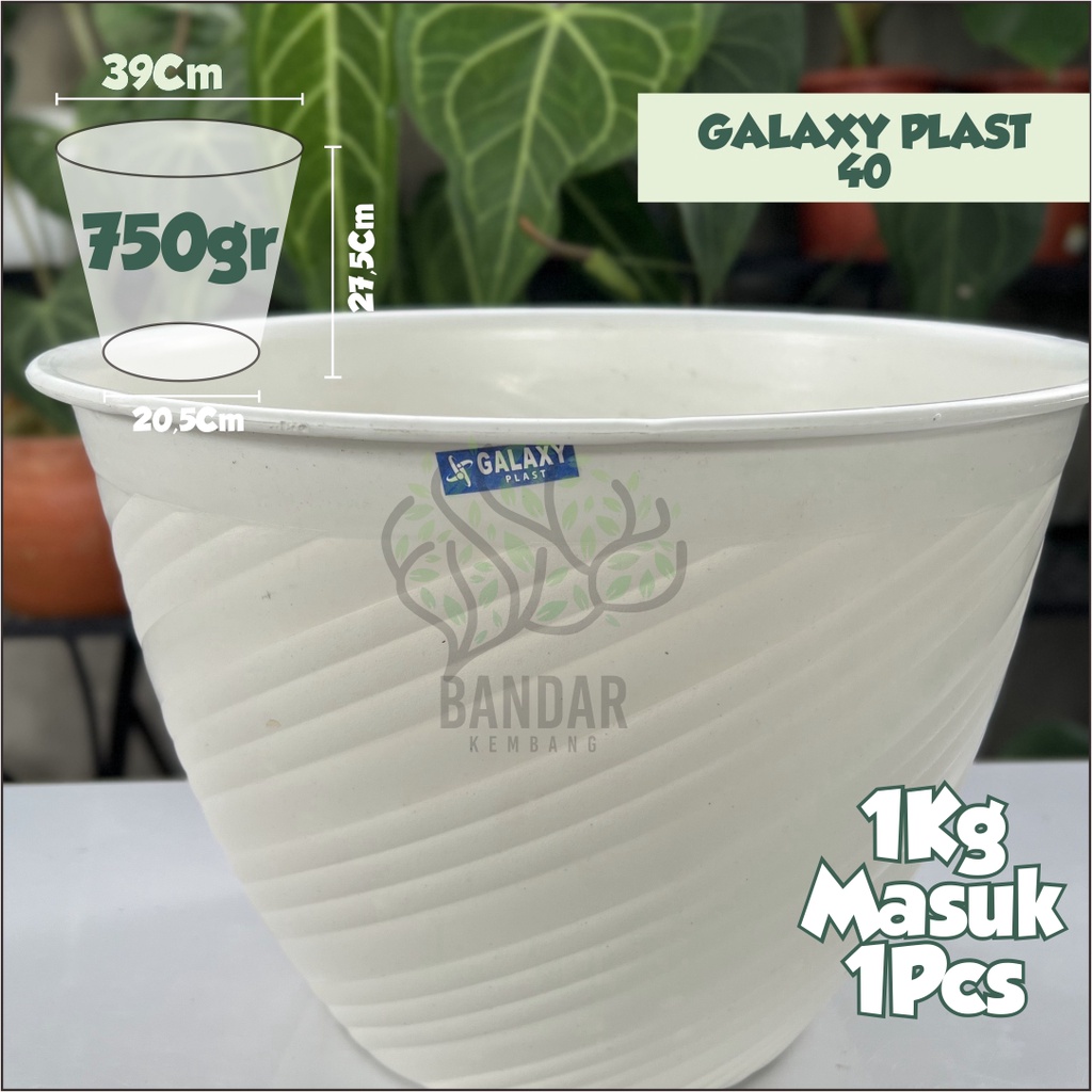 Jual Pot Galaxy Plast Tulip 40, pot tulip bunga tanaman hias bagus ...