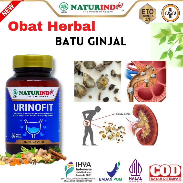 Jual Urinofit Obat Gagal Batu Ginjal Bocor Kronis Akut Kencing Berbusa ...