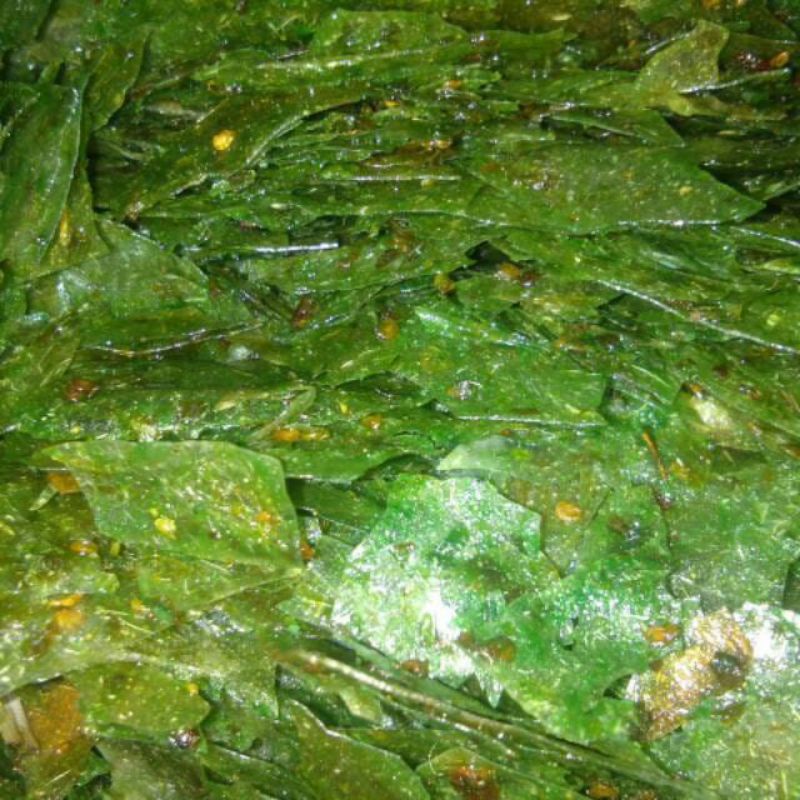 Jual keripik kaca rumput laut | Shopee Indonesia