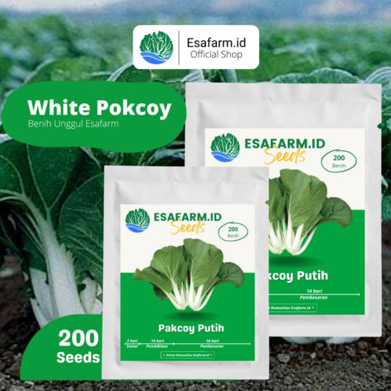 Jual Benih Sawi Pakcoy Putih / White Pokcoy / Dakota F1 200 Biji by ...