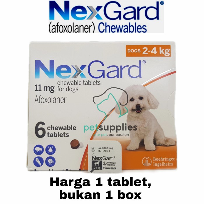 Jual Obat Kutu Anjing Demodex Scabies NEXGARD ukuran 2-4 kg Harga 1 tablet | Shopee Indonesia