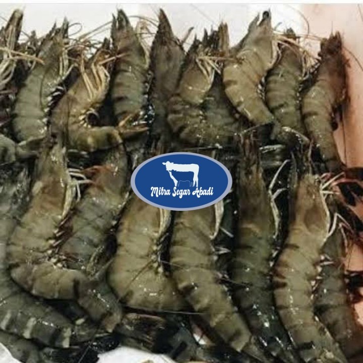 Jual Udang Black Tiger / Tiger Prawn @1kg | Shopee Indonesia