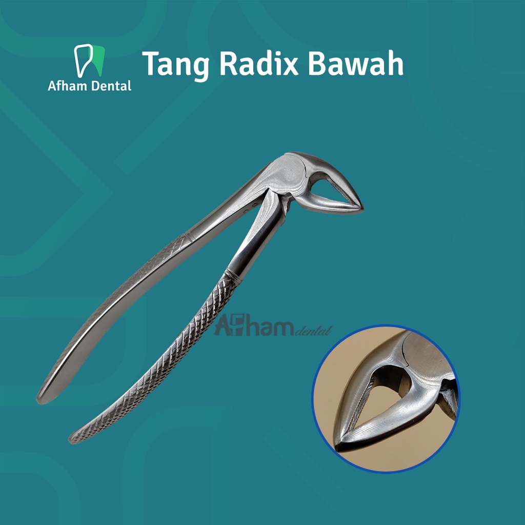 Jual DENTAL TANG CABUT GIGI DEWASA SATUAN ADULT TOOTH FORCEP / FORCEPT ...