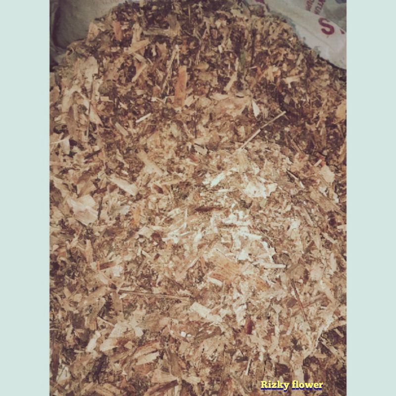 Jual Humus Daun Bambu 1kg | Shopee Indonesia