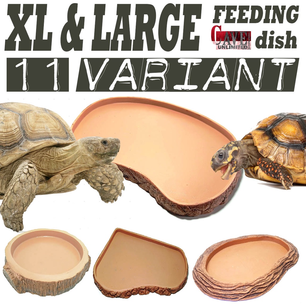 Jual TEMPAT MAKAN MINUM FEEDING DISH FEEDINGDISH BESAR XL TORTOISE ...